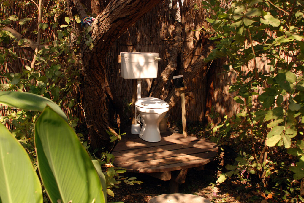 Toilet on a Platform (The Ultimate Guide) - Glamorous Place