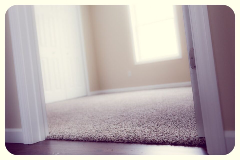 How To Paint Trim With Carpet [The Ultimate Guide] - Glamorous Place