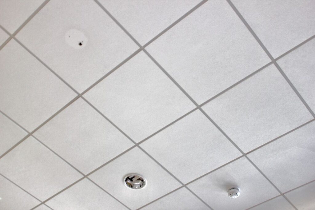 Mold In Ceiling Tiles - 3 Effective Methods To Get Rid - Glamorous Place
