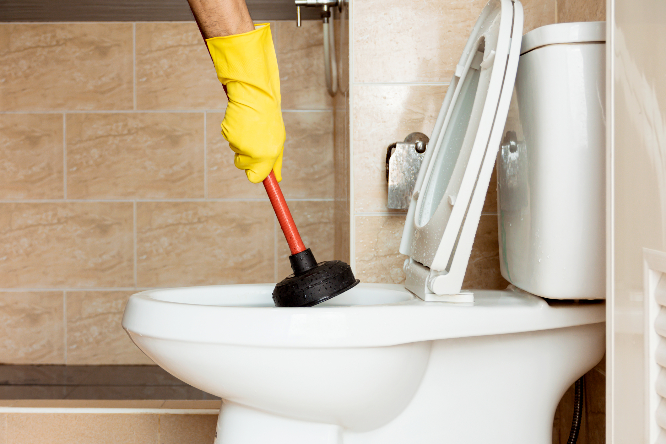 Accidentally Put Liquid Plumber in Toilet: What Now? - Glamorous Place