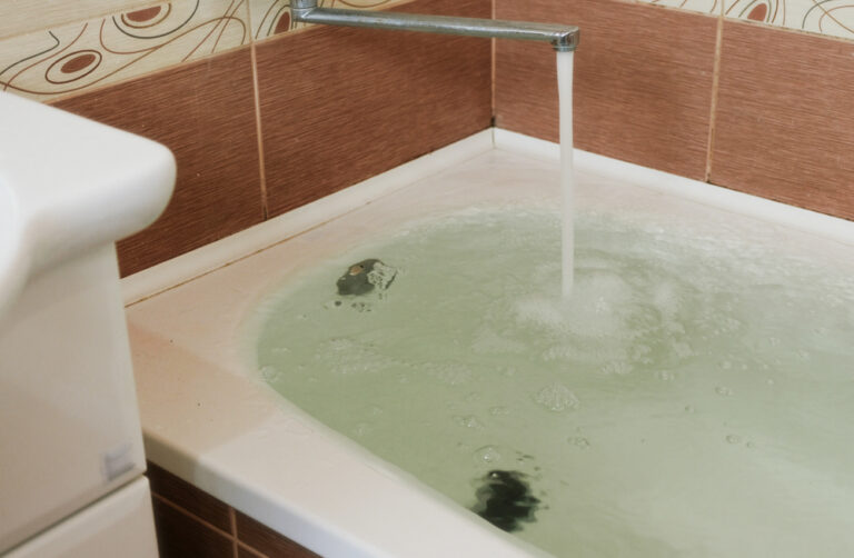 Bathtub Full Of Water Wont Drain