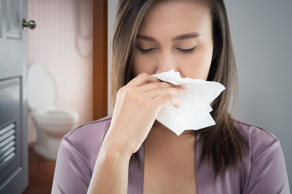 Dead Animal Smell in Bathroom: Causes & How To Fix - Glamorous Place