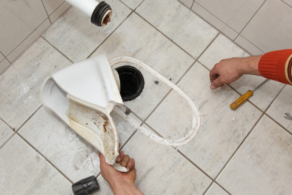 How Long Does It Take To Replace an Old Toilet - Glamorous Place