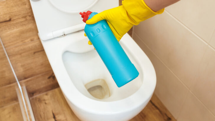 Tankless Toilet Won't Flush: How to Troubleshoot and Repair - Glamorous ...